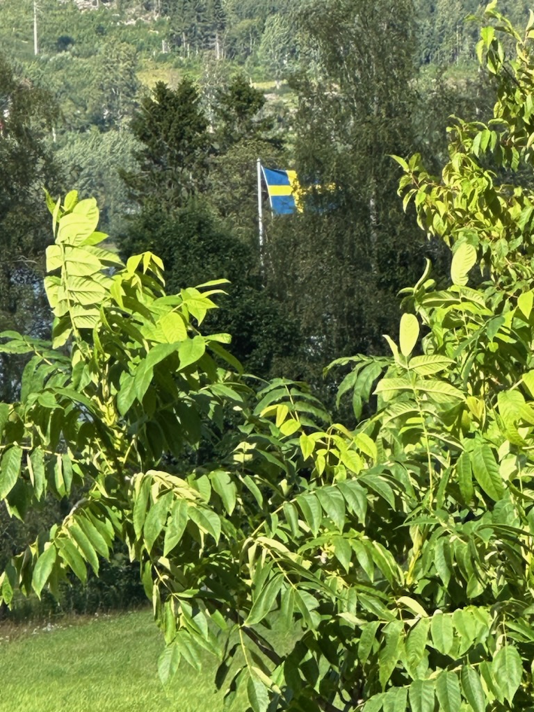 Lyckad trädgårdsvisning med mycket folk! - GladiGrönt